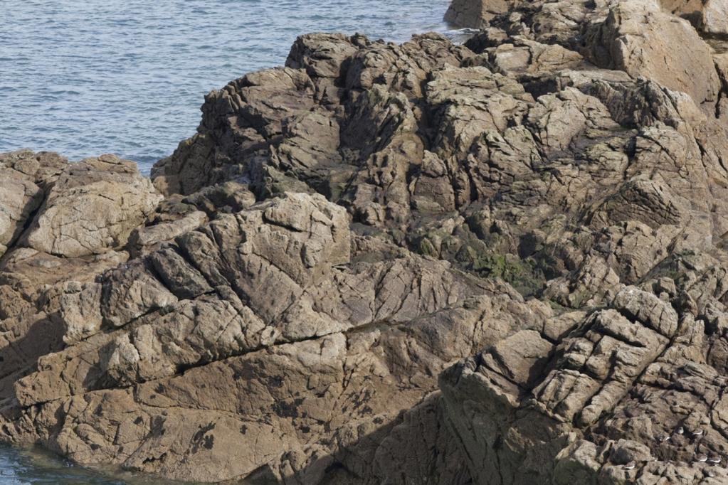 Next Gen Rock Sculpt — polycount