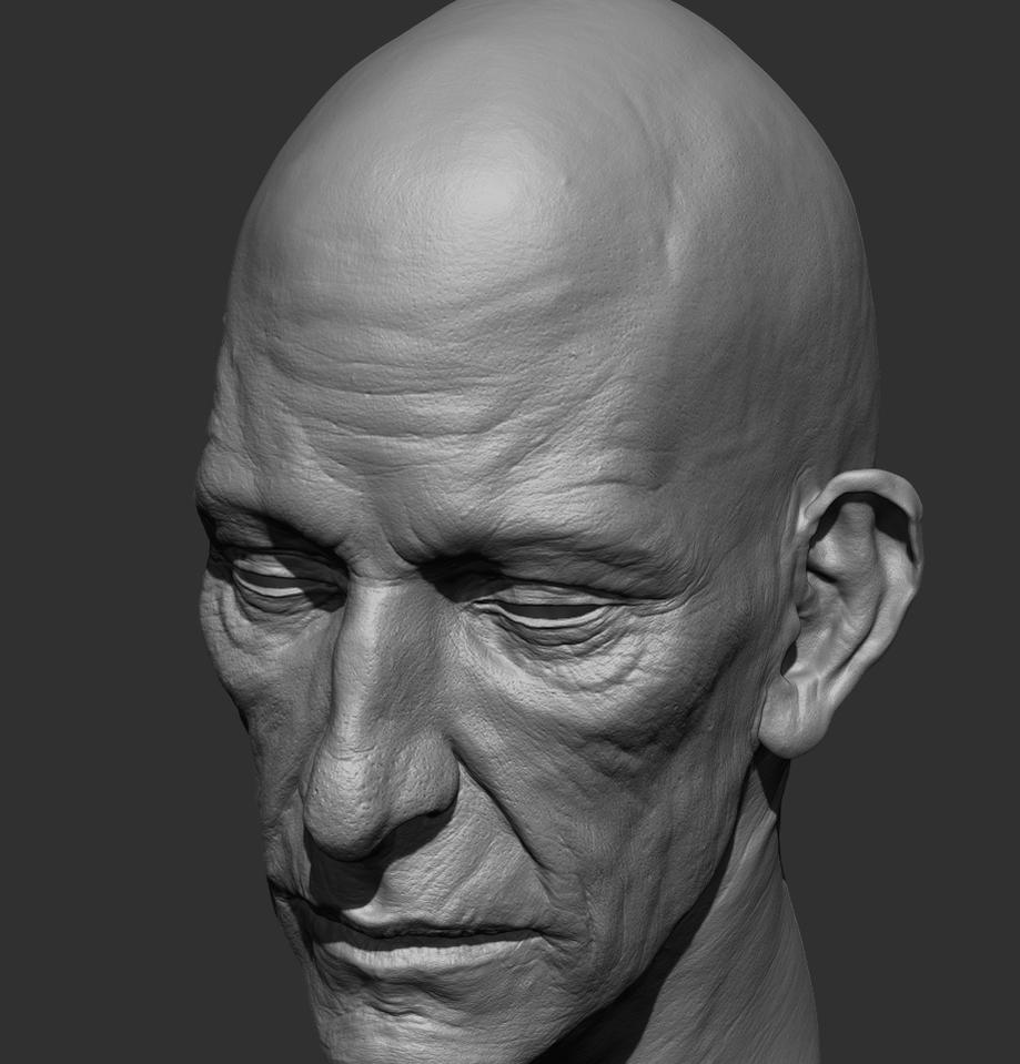 Non Realtime Graphics - Displacement maps for wrinkles and pores ...