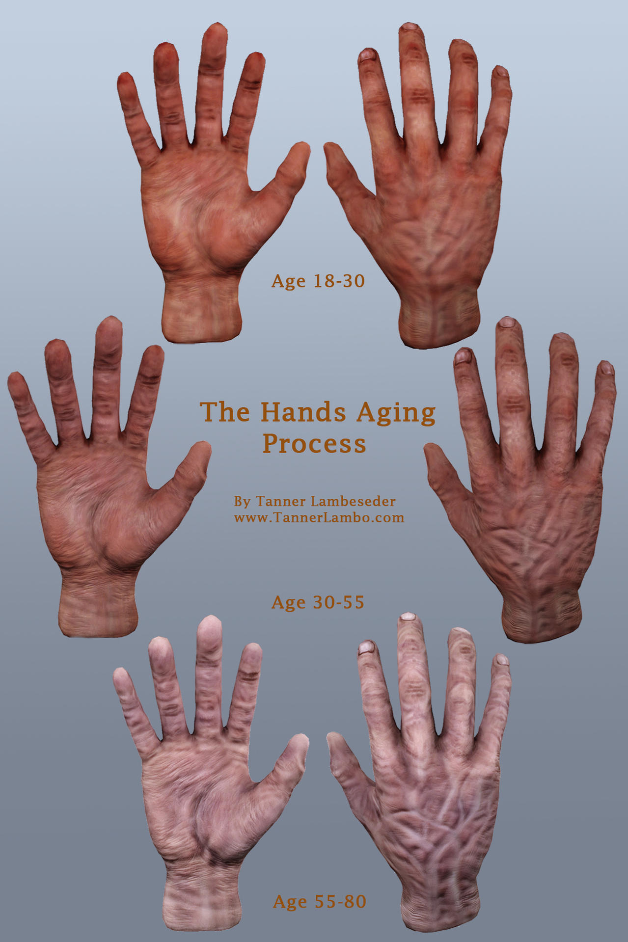 Process of Aging Hands — polycount