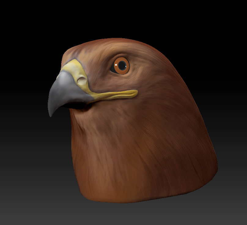 training — polycount