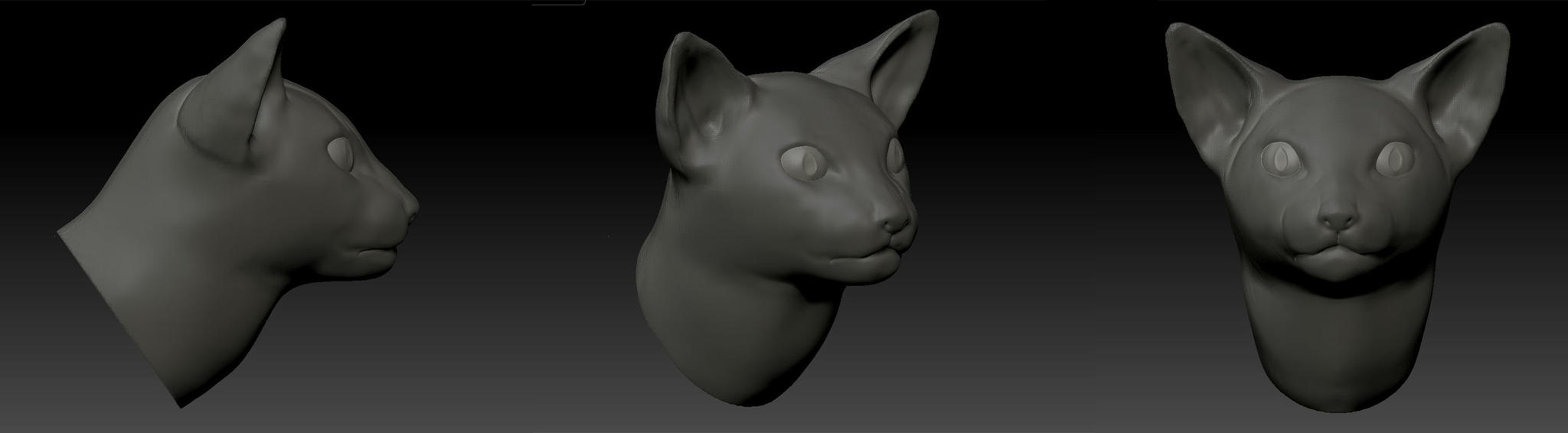 training — polycount