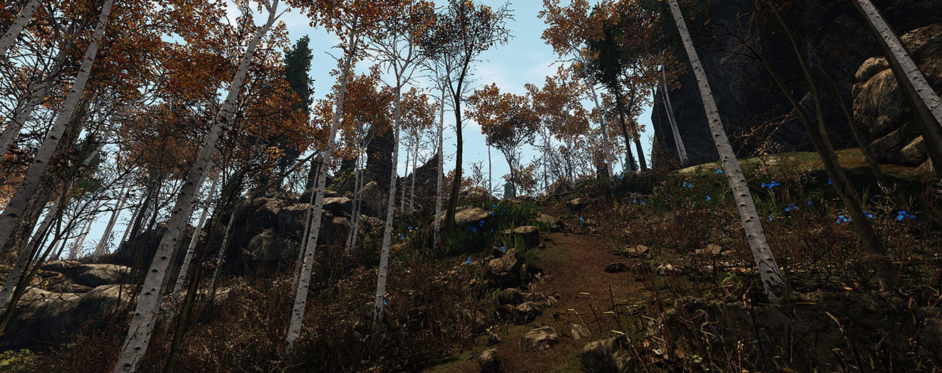 [CE3] Meadow/Forest Environmet — polycount