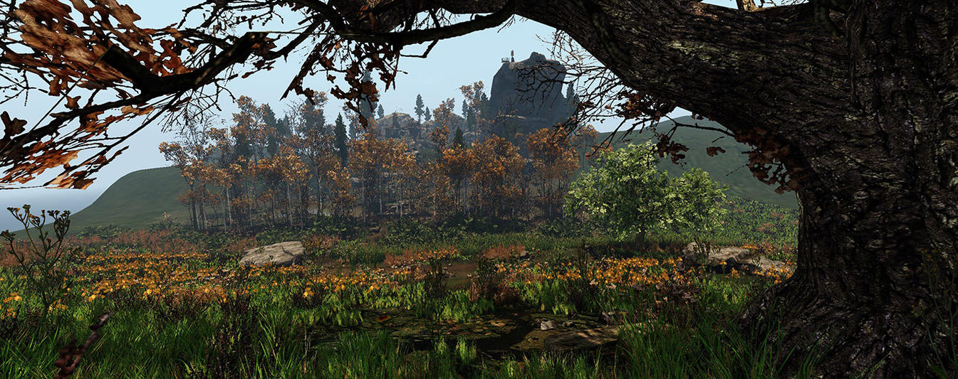 [CE3] Meadow/Forest Environmet — polycount
