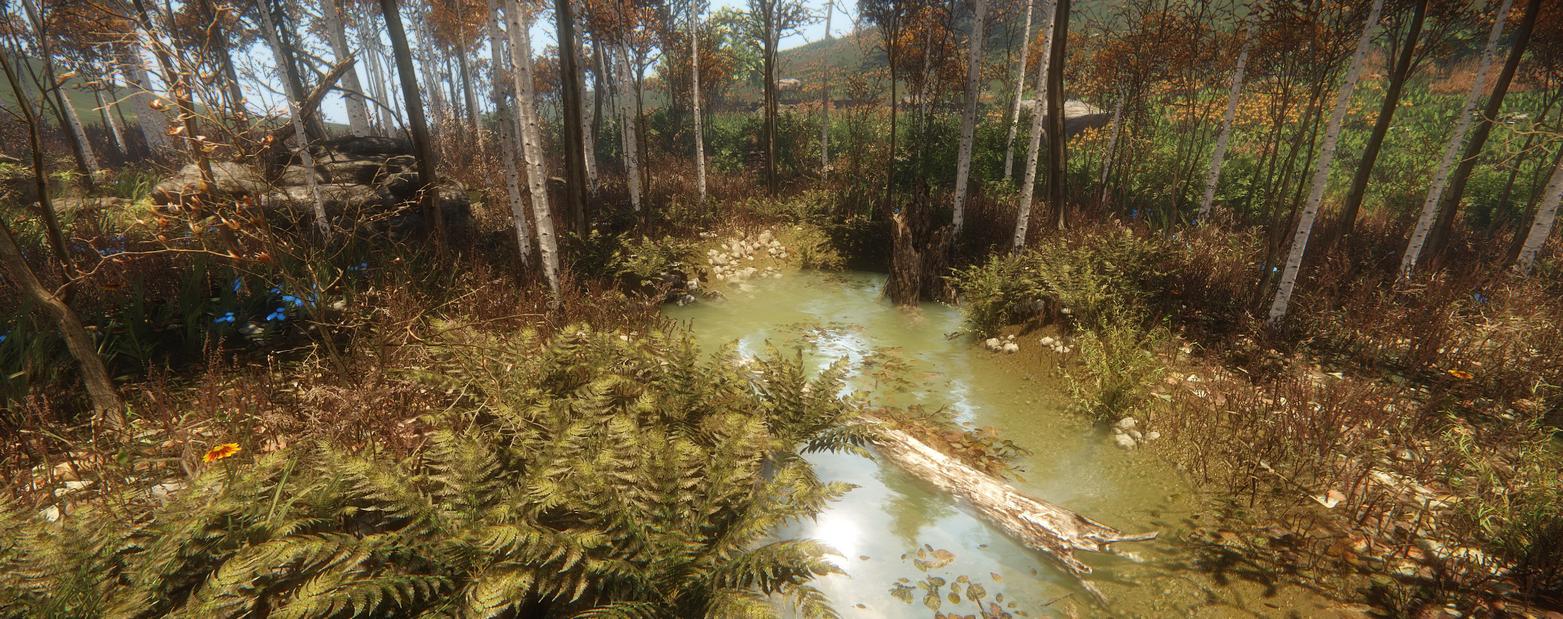 [CE3] Meadow/Forest Environmet — polycount