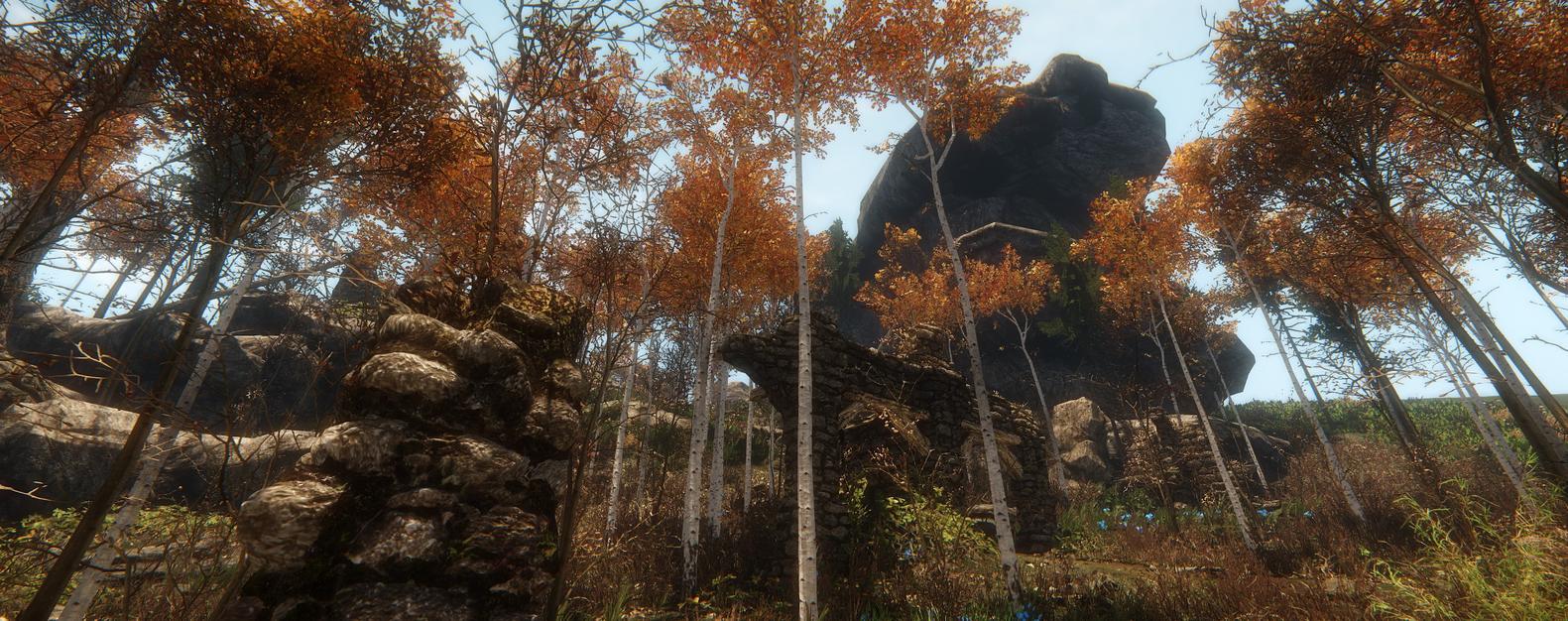 [CE3] Meadow/Forest Environmet — polycount