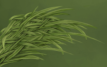 Handpainted Grass try 01 — polycount