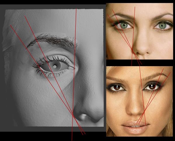 Anatomy: Position of eyeballs in head — polycount