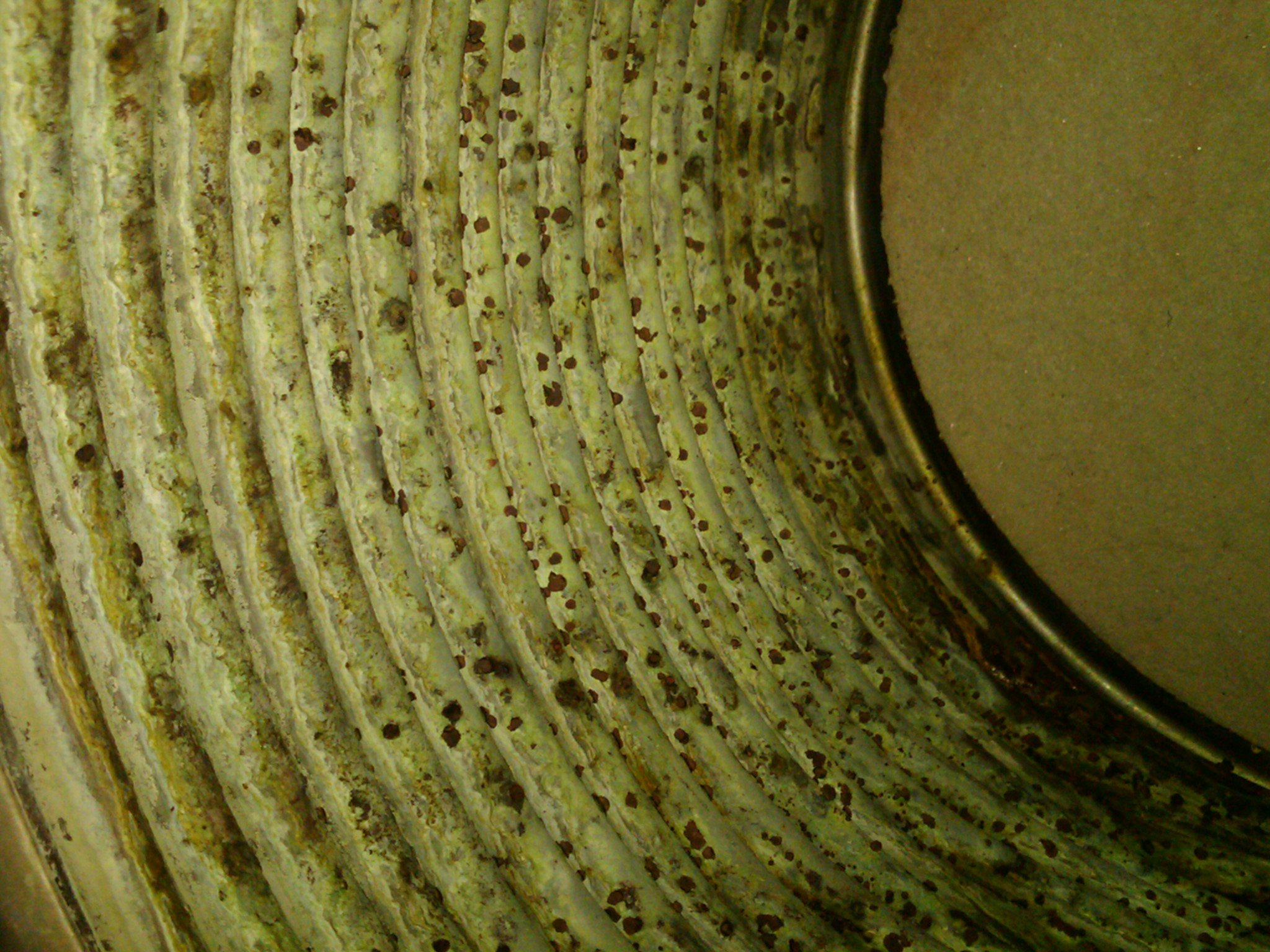 Munchkin Contender Heat Exchanger — Heating Help: The Wall