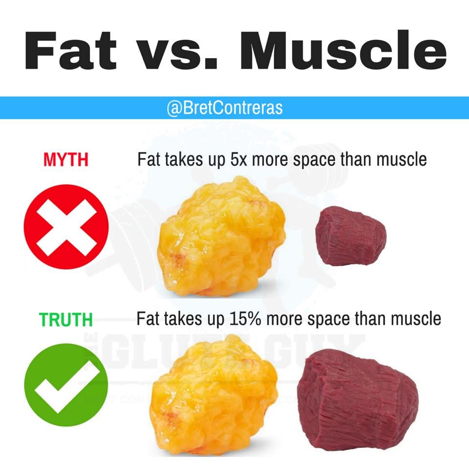 Fat VS Muscle MyFitnessPal