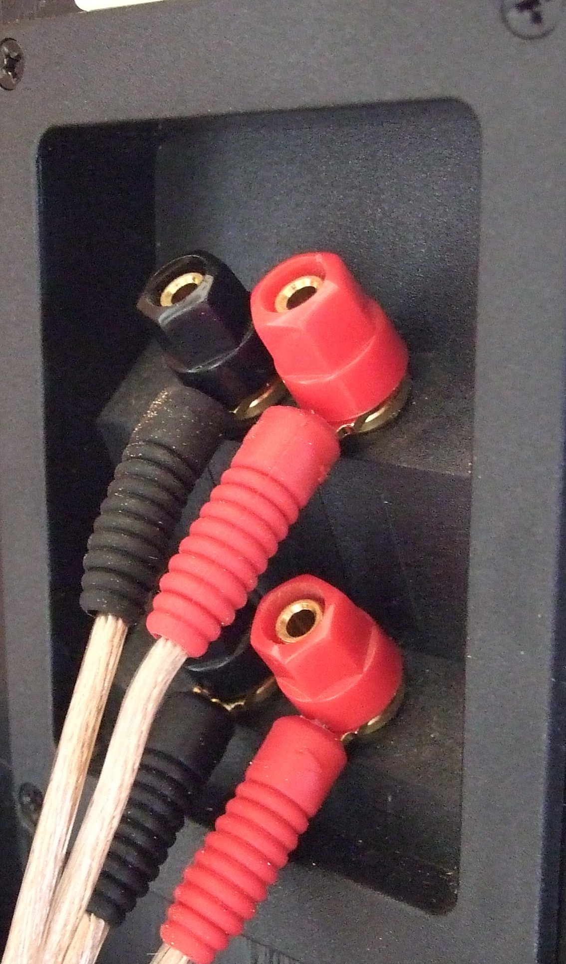 RTi 8 Bi-Wiring — Polk Audio Forum