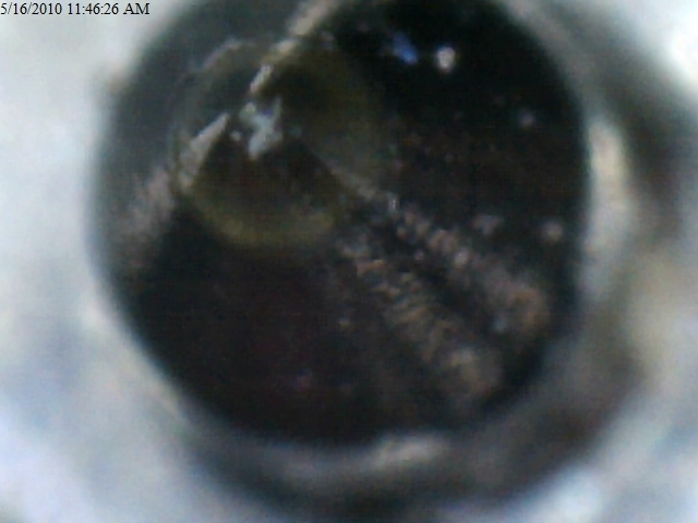USB Microscope Stylus Pictures — Polk Audio Forum