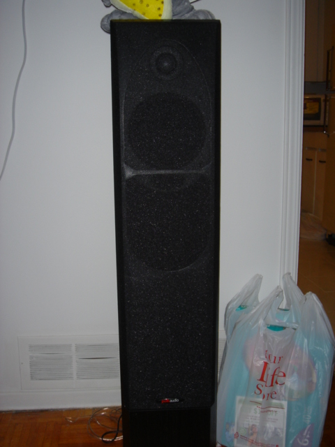 FS: (Singles) RTi100 and RT1000i — Polk Audio Forum