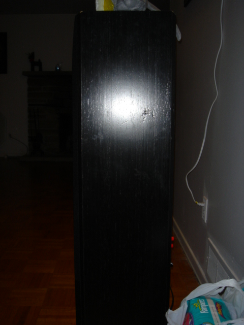 FS: (Singles) RTi100 and RT1000i — Polk Audio Forum