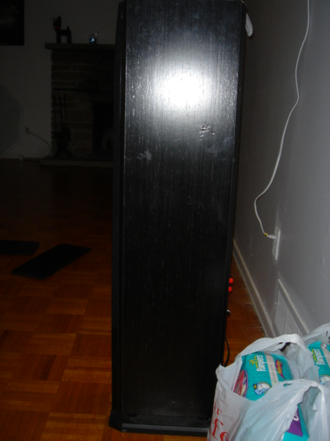 FS: (Singles) RTi100 and RT1000i — Polk Audio Forum