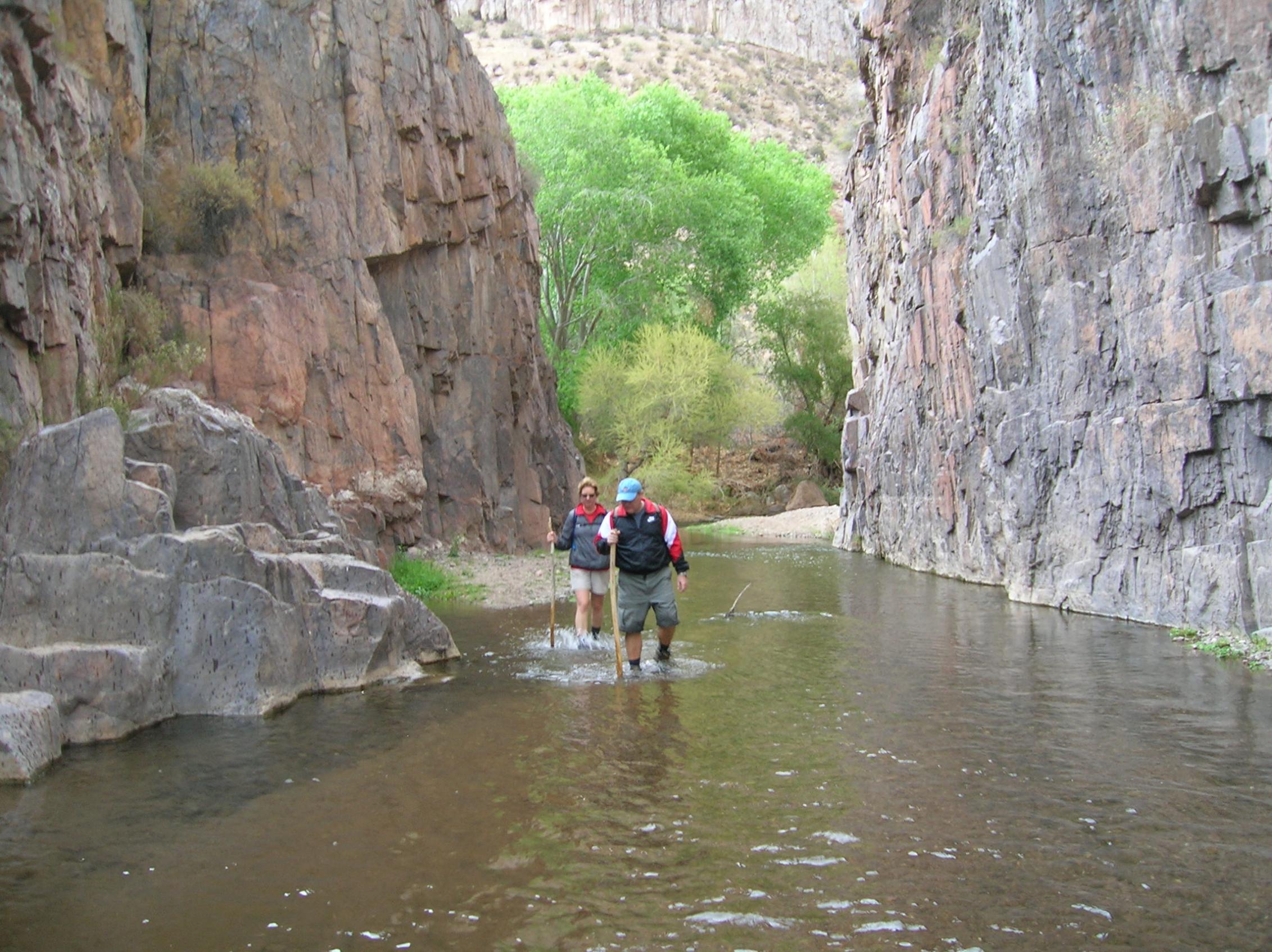 We just had a real frog strangler tear through Tucson — Polk Audio Forum