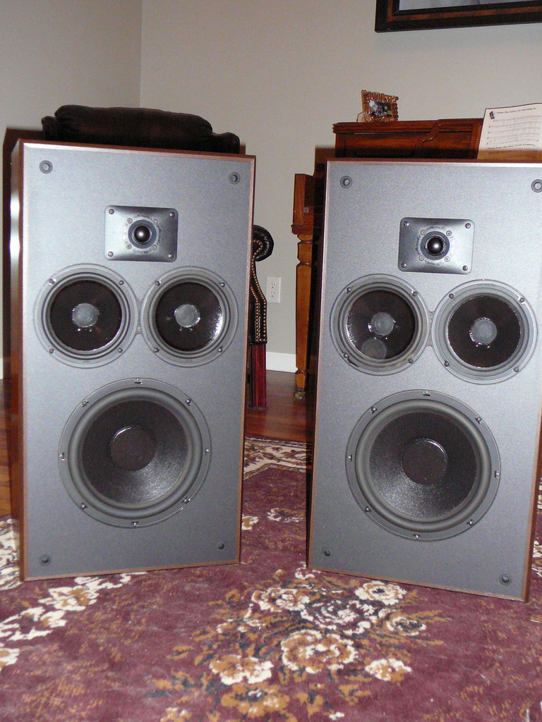 The Polk Audio find of the day. — Polk Audio Forum