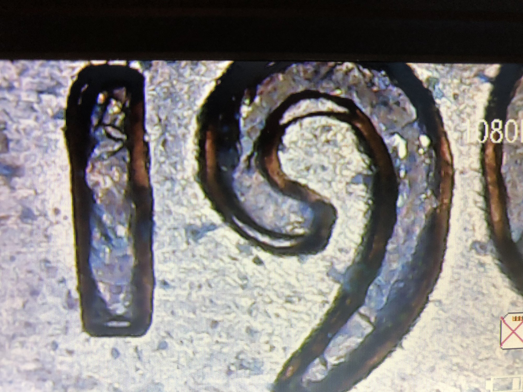 Is this an error? Or a lighting affect. — Collectors Universe