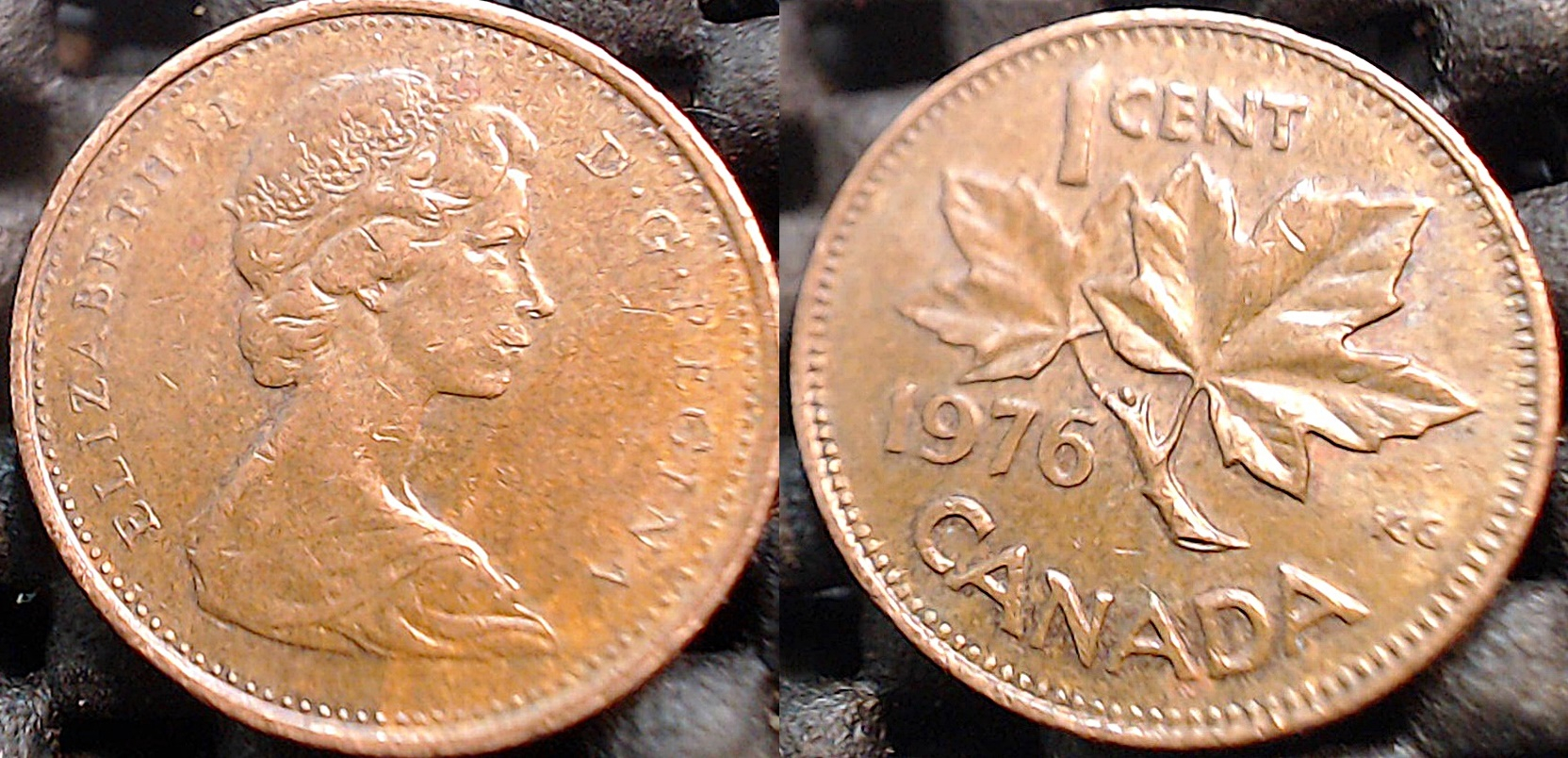 1976 Canada 1 Cent Collectors Universe 1976 Canada 1 Cent Collectors Universe