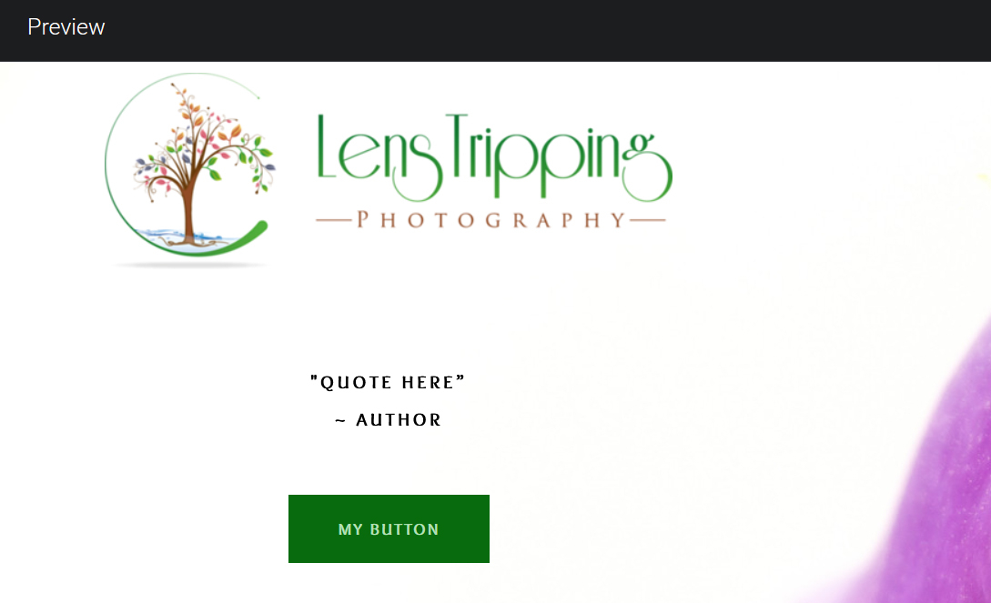 Text Box Changing Formatting During Preview Digital Grin Photography Forum