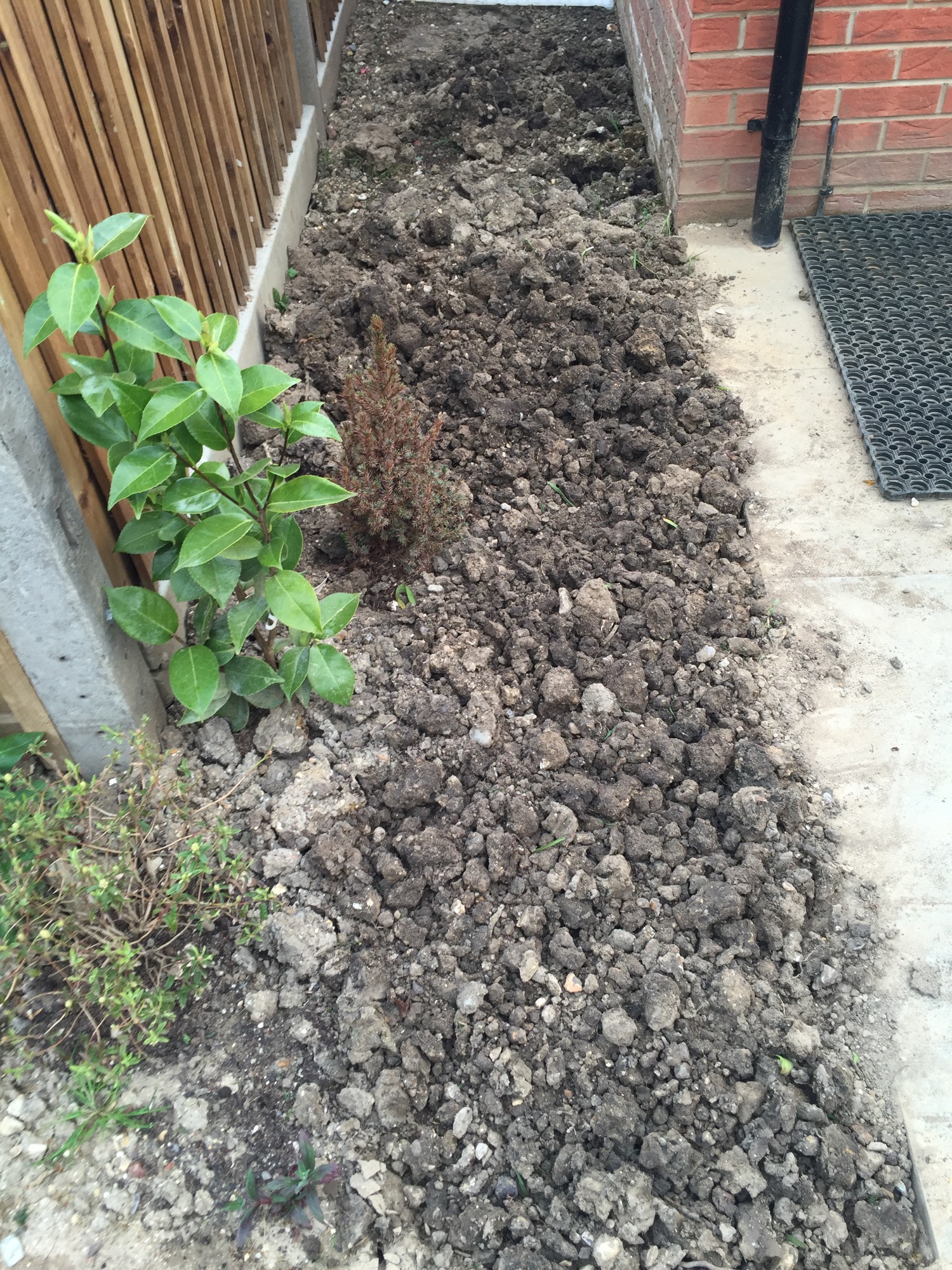 Turn This Into A Flower Bed BBC Gardeners World Magazine