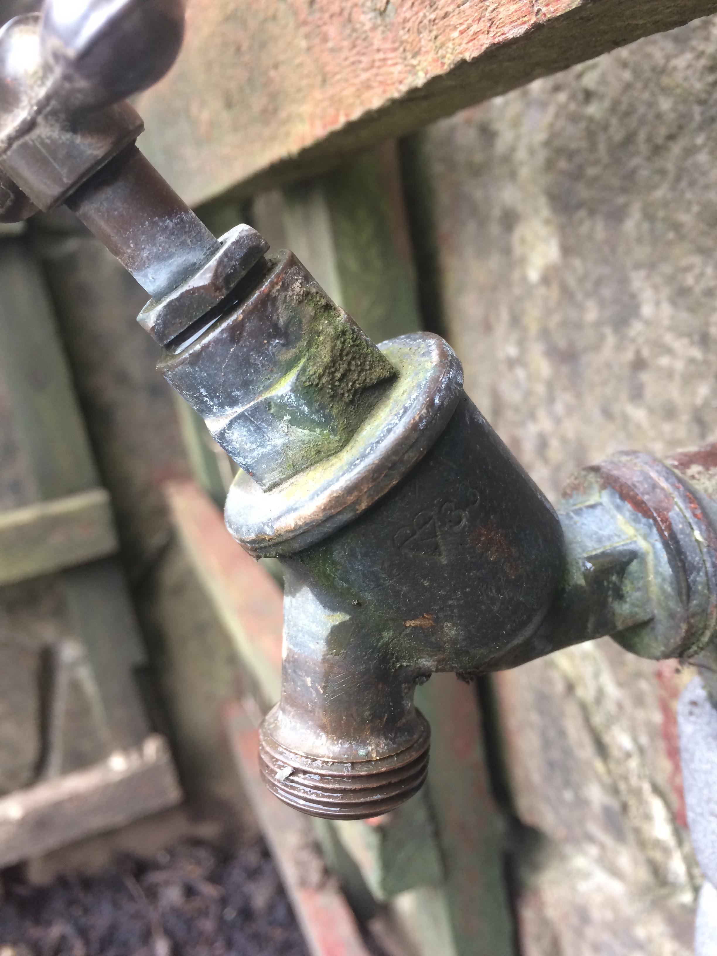 External Water Tap Thread Size BBC Gardeners World Magazine