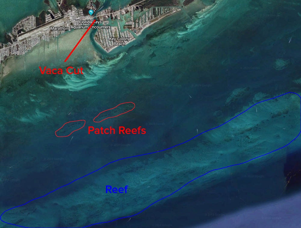 Patch reef fishing in Marathon — Florida Sportsman
