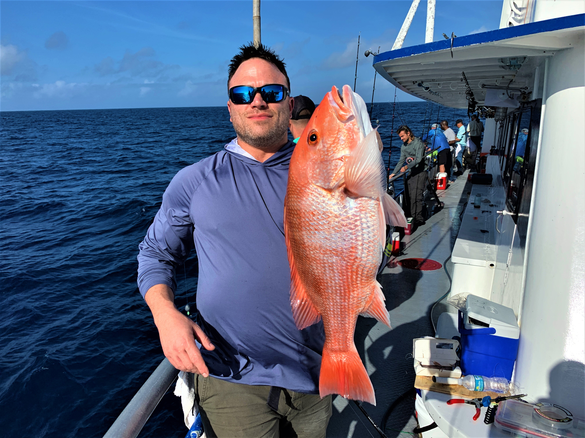 Mangrove Snapper