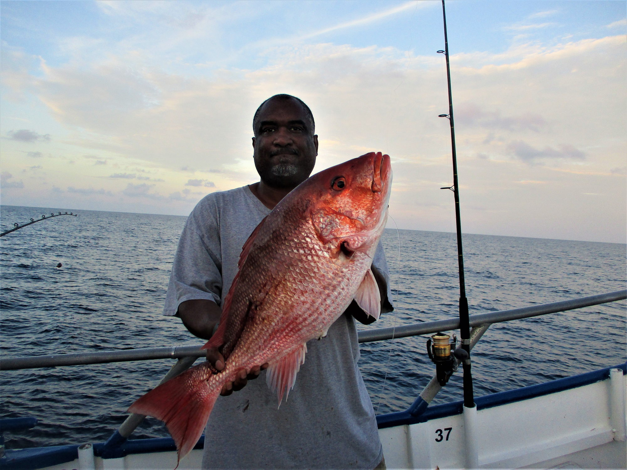 Snapper