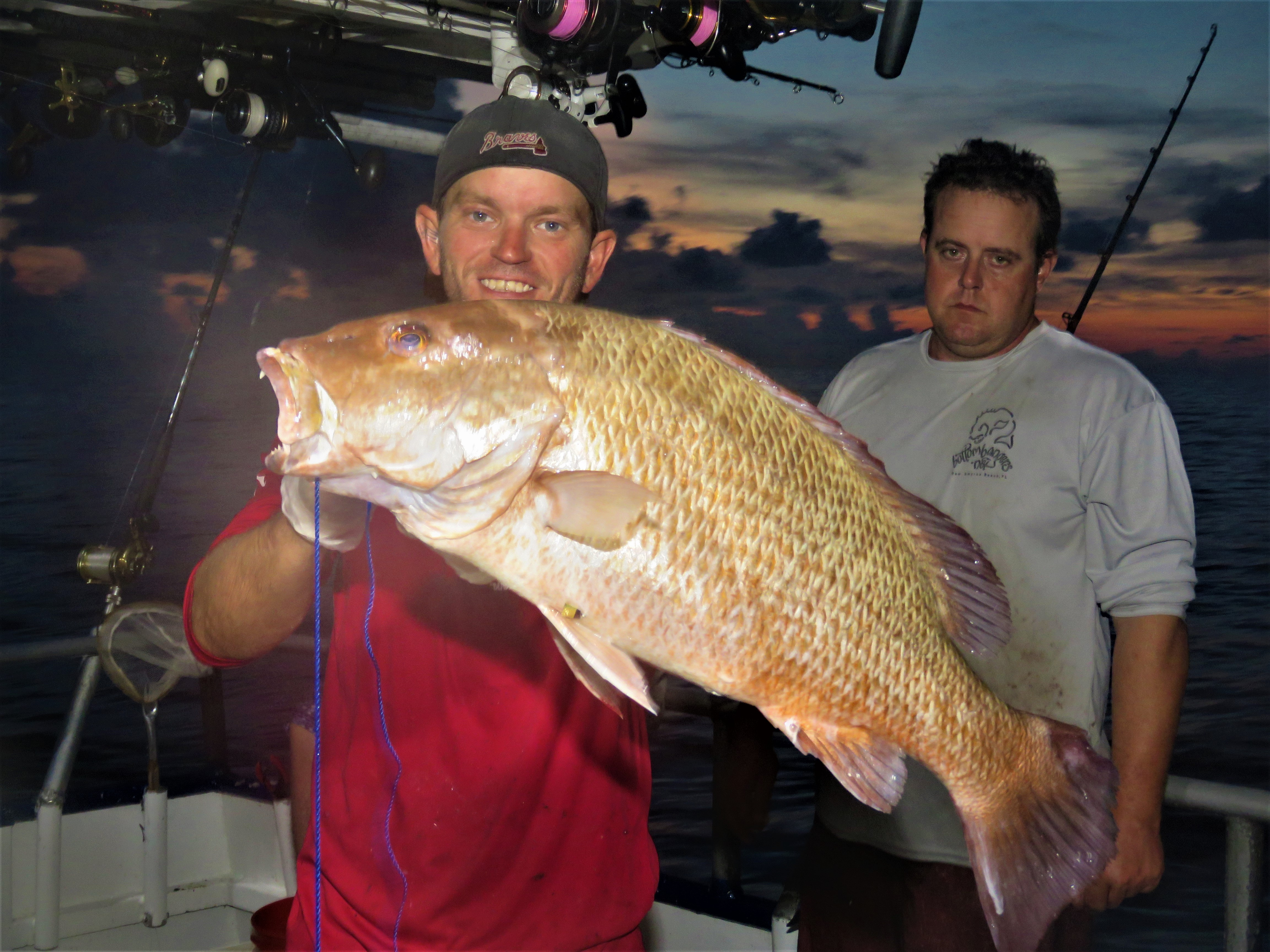 Mangrove Snapper