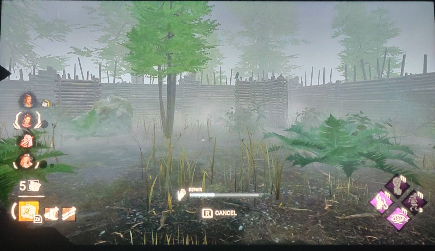 Do you notice the maps having significantly more fog? — BHVR