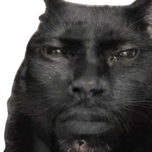 Full Feedback to the PTB 9.3.0 — BHVR