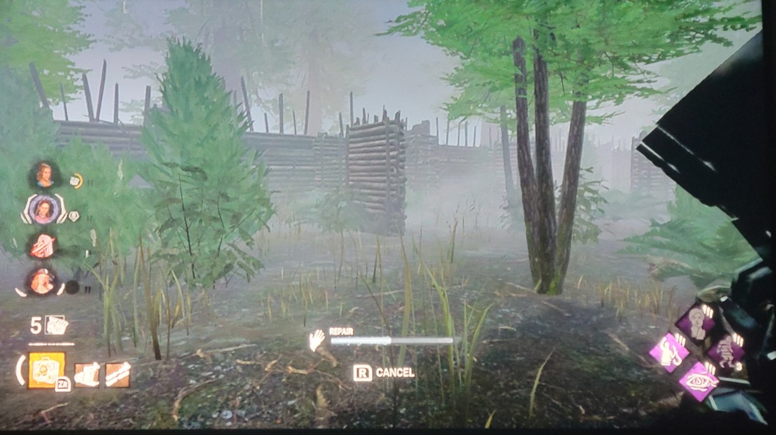 Do you notice the maps having significantly more fog? — BHVR