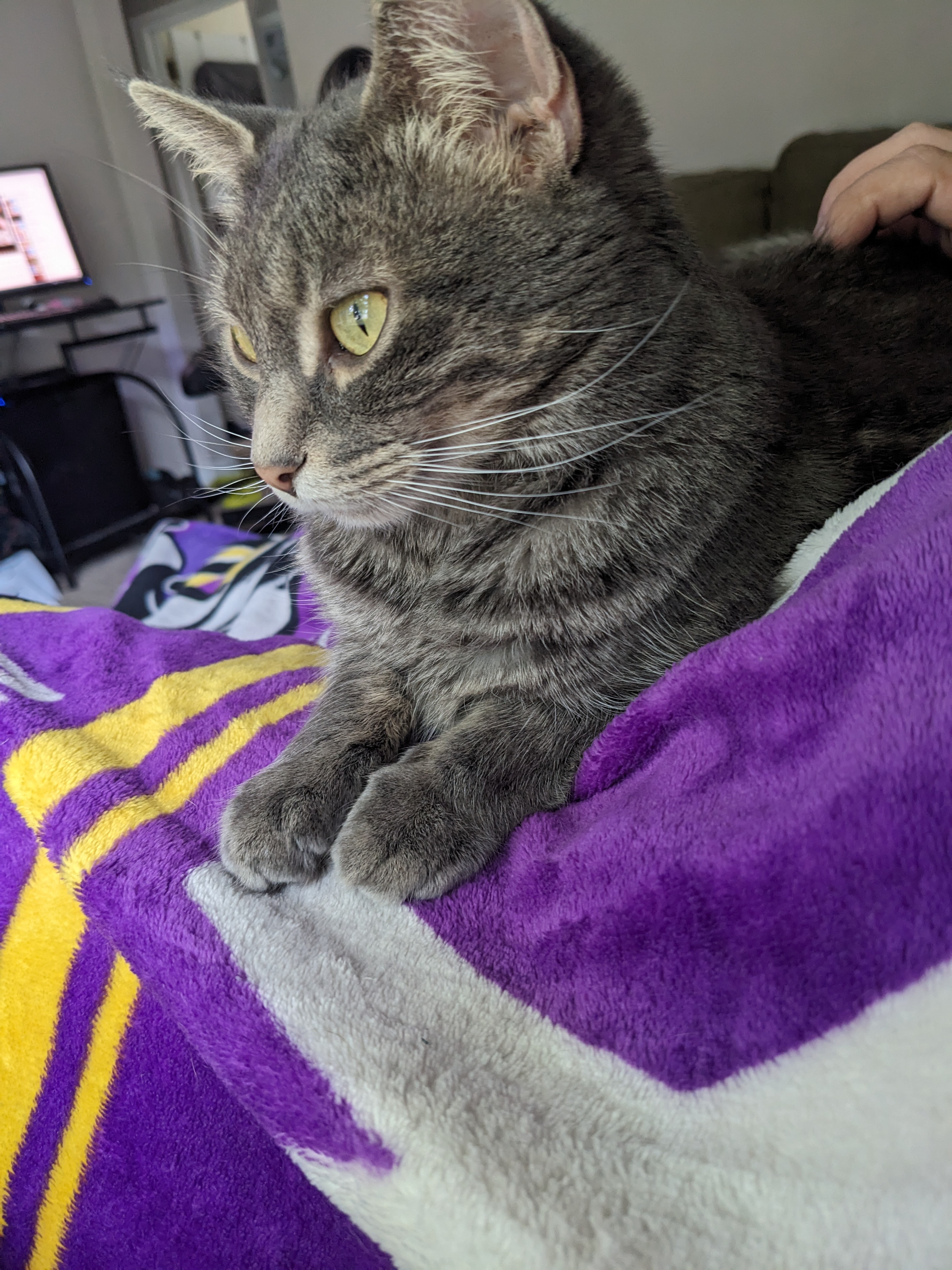 German Twitter Account deactivated (BP CODES inside) — BHVR