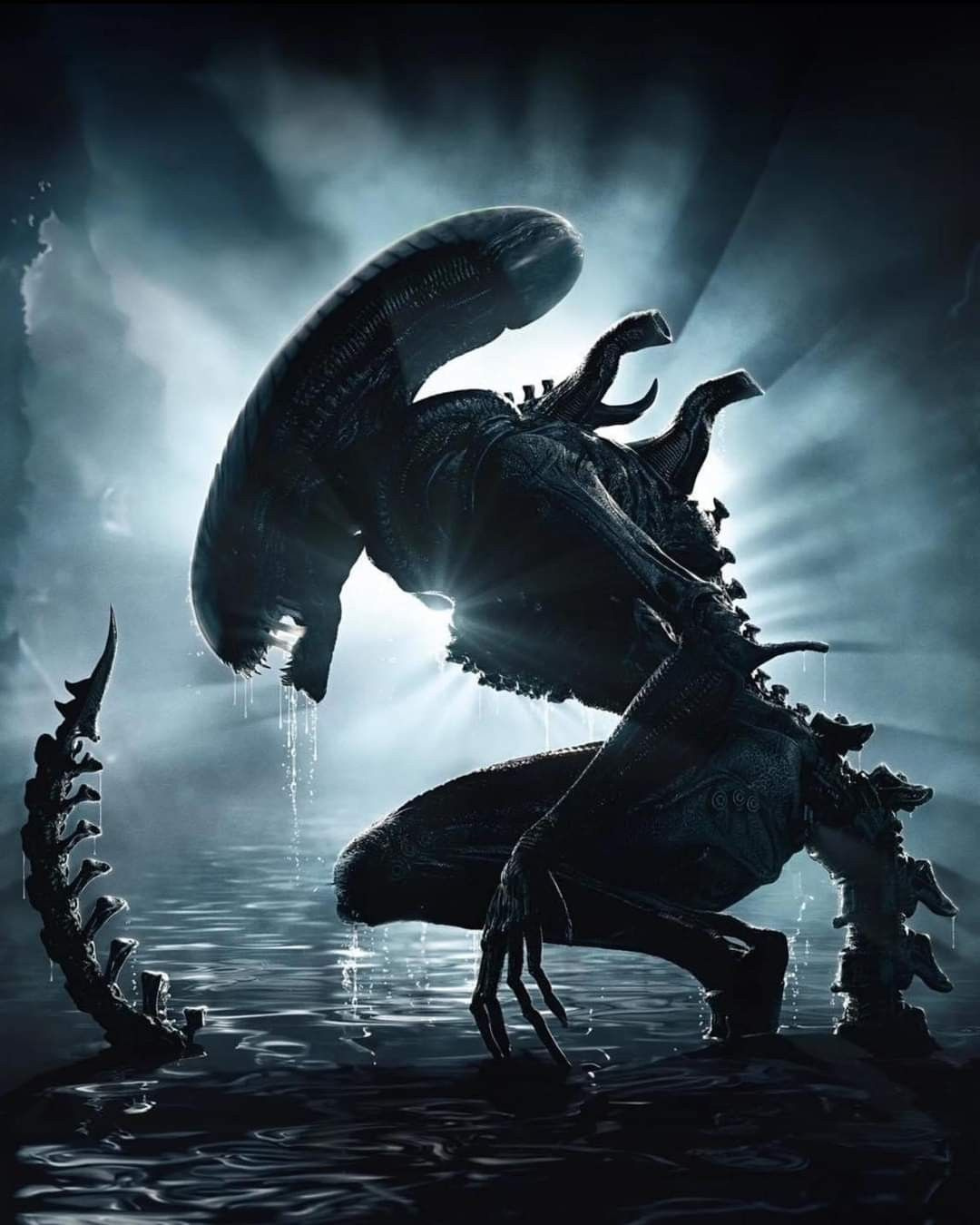 Making the XENOMORPH the Ultimate Weapon. (Opinion on 8.6.0 PTB) — BHVR