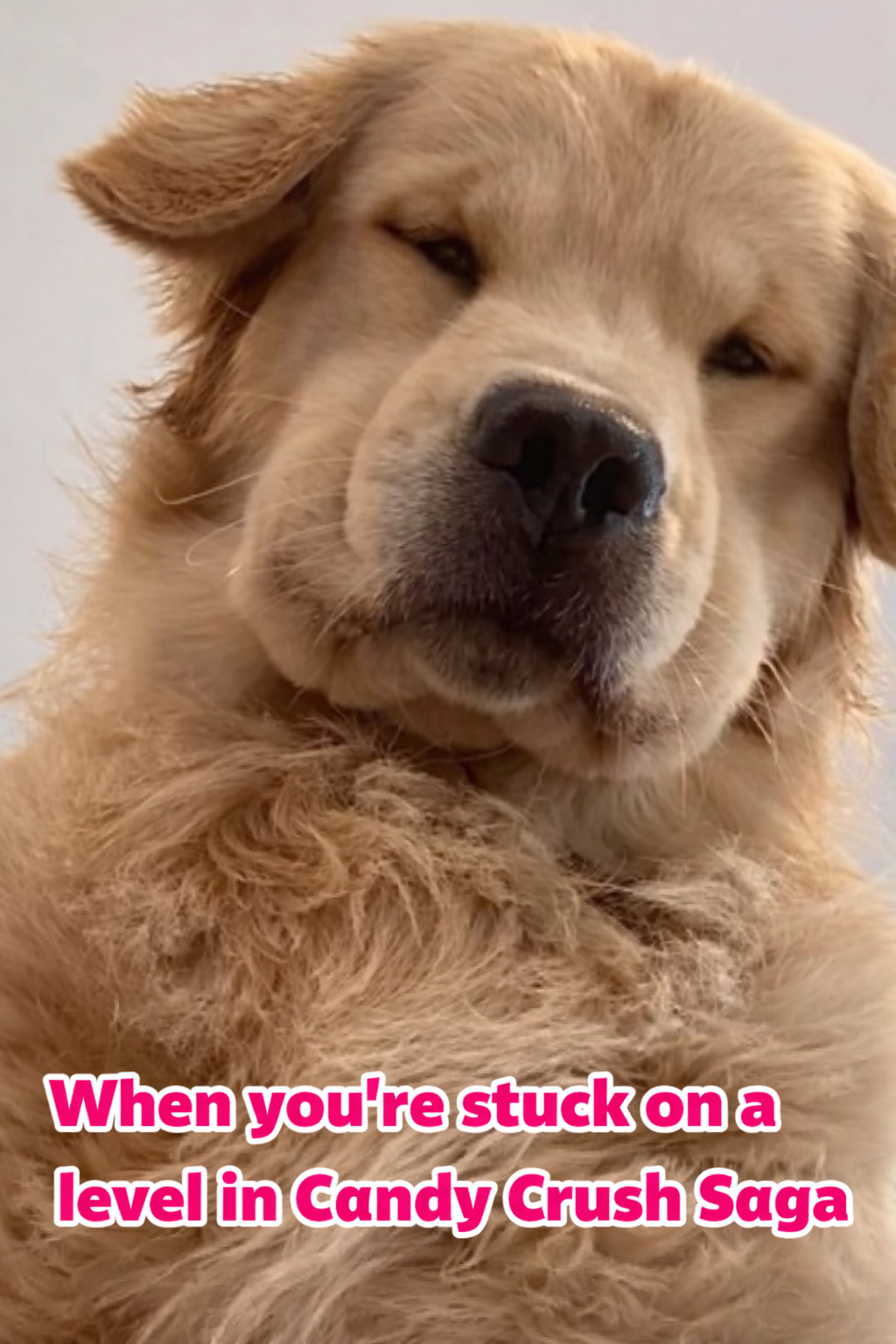 😩 Stuck on a level in Candy Crush Saga? Share your level and get help ...