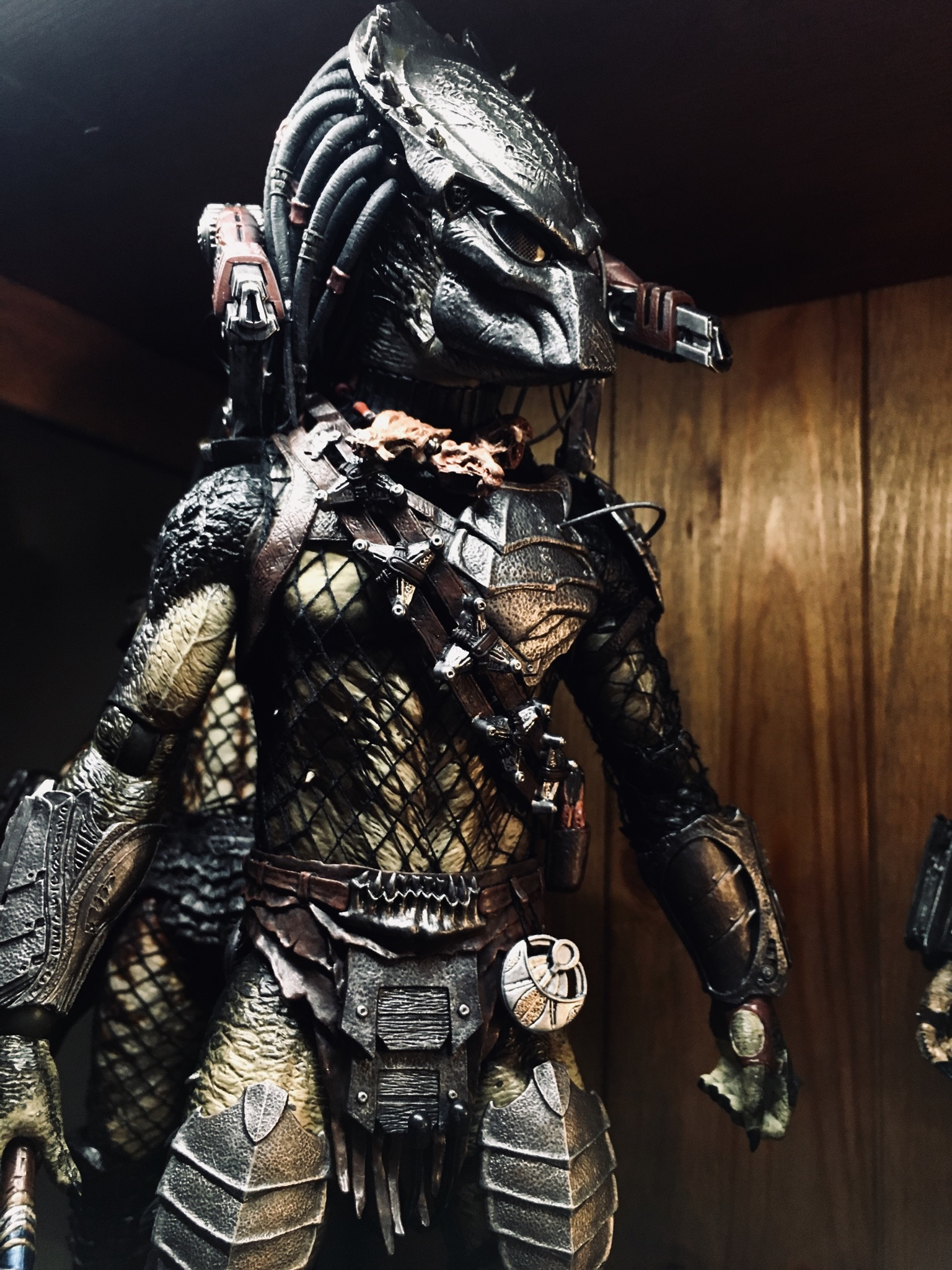 Predator Fan Art