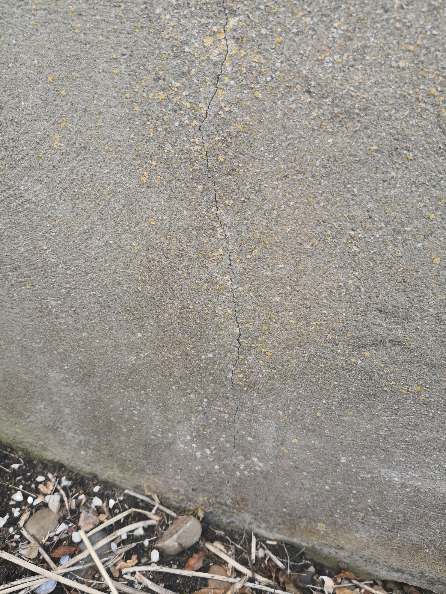 Render Cracks — MoneySavingExpert Forum