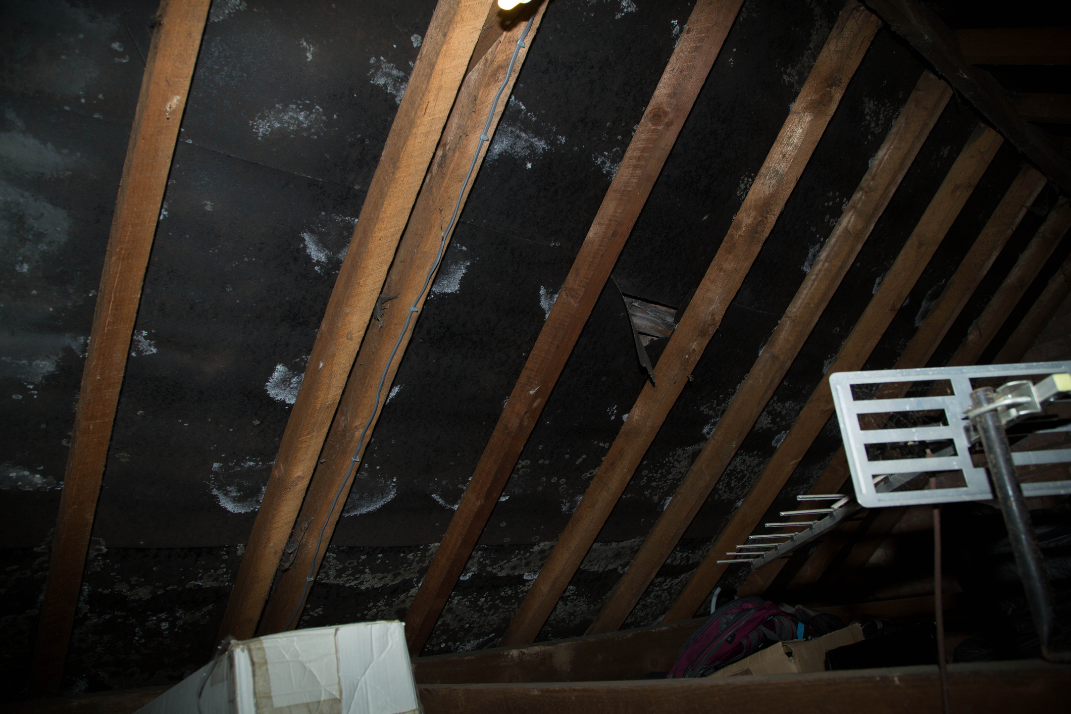 white patches on felt in loft — MoneySavingExpert Forum