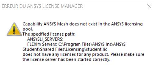 Licence problem with meshing