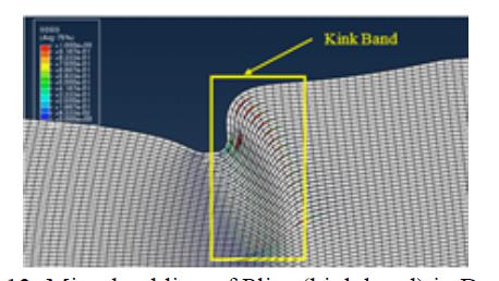 Microbuckling