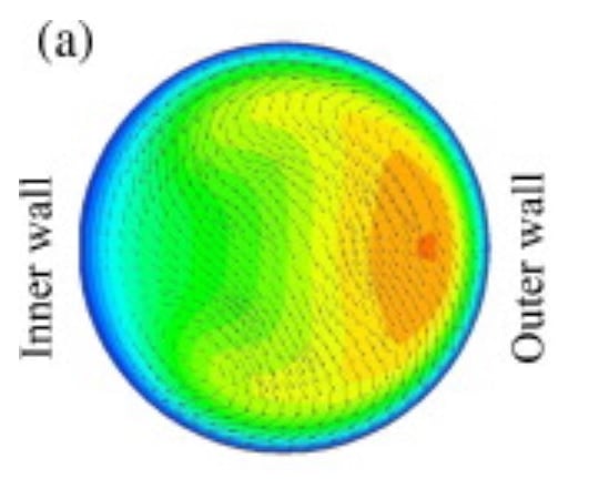 How to plot secondary flow velocity vector and streamline