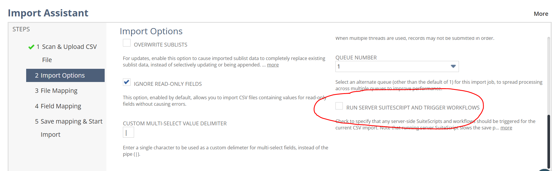 Csv Import Disable Run Server Suitescript And Trigger Workflows — Netsuite Community