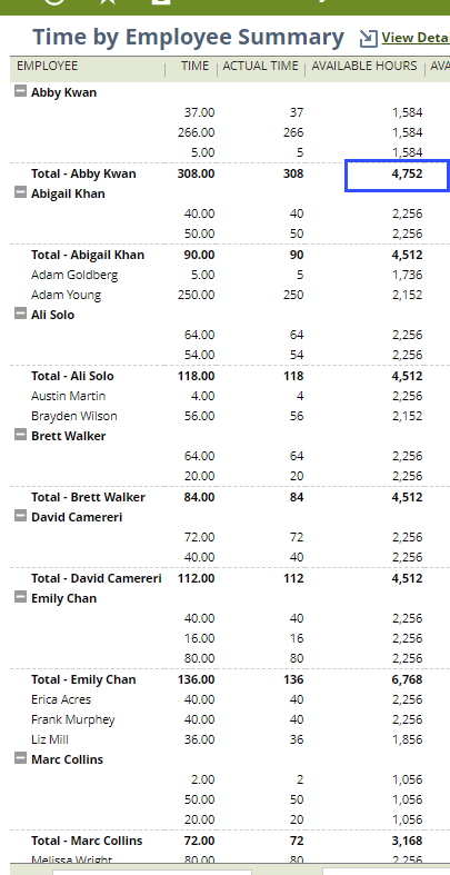 Available Work Hours on Report — NetSuite Community