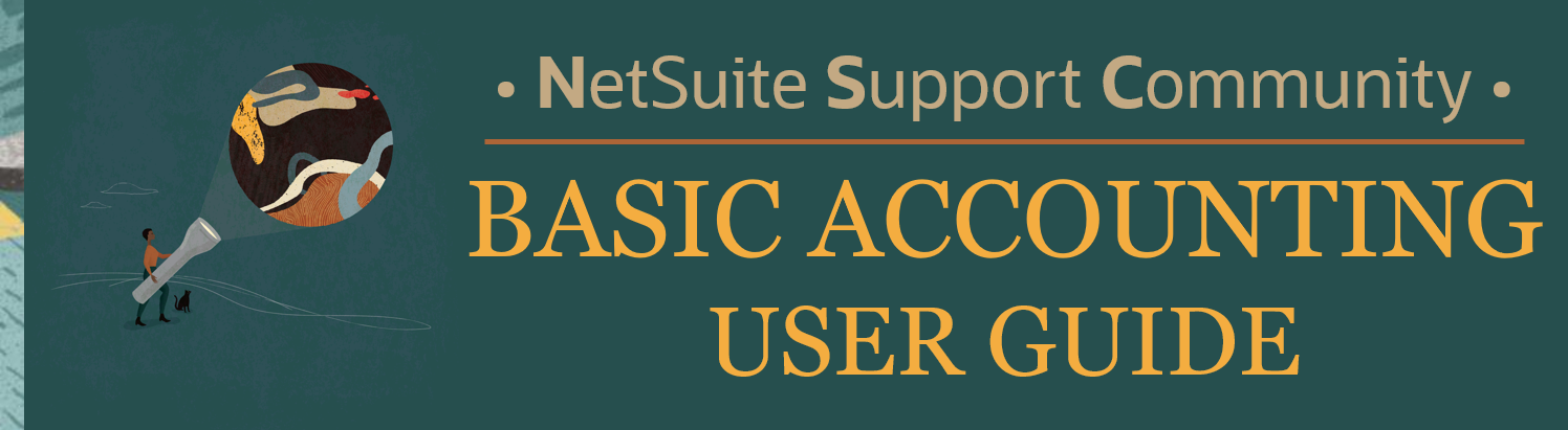 New To Netsuite Resolve Error Netsuite Could Not Match Your Bank Data So Please Try Again