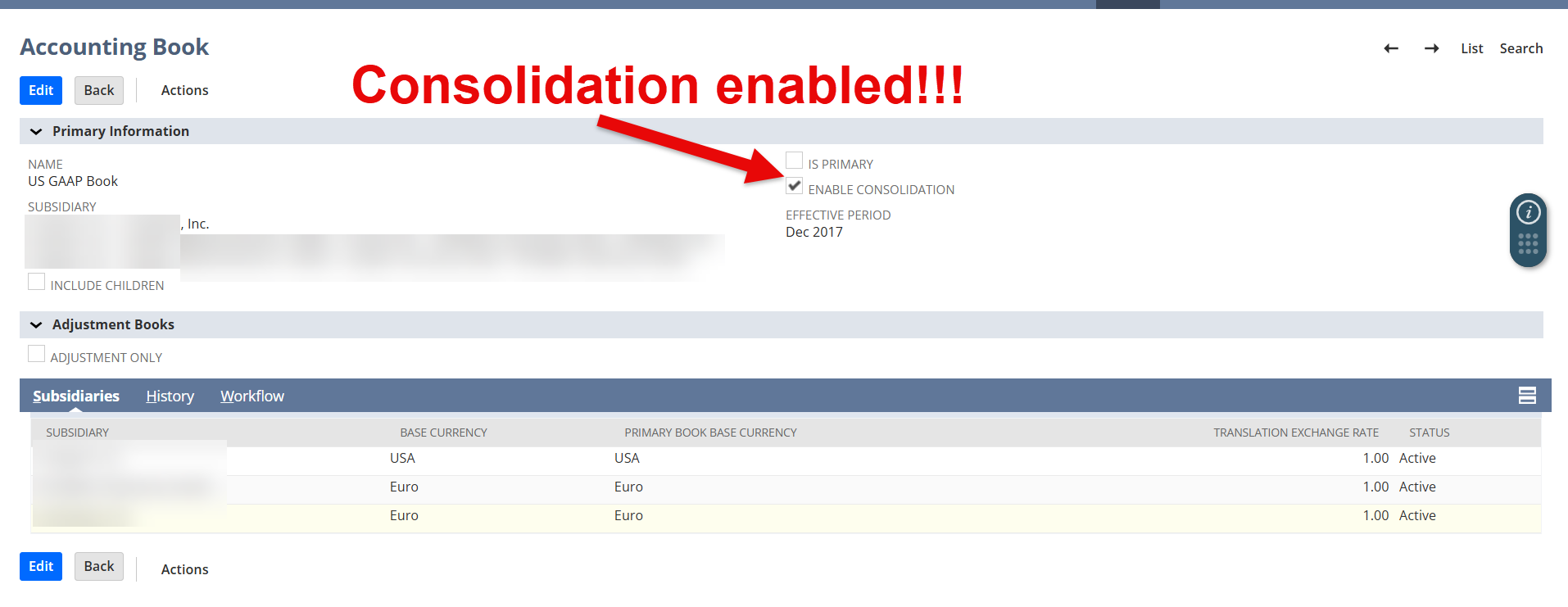 Consolidated view not appearing after enabling it on Multibook — NetSuite Community