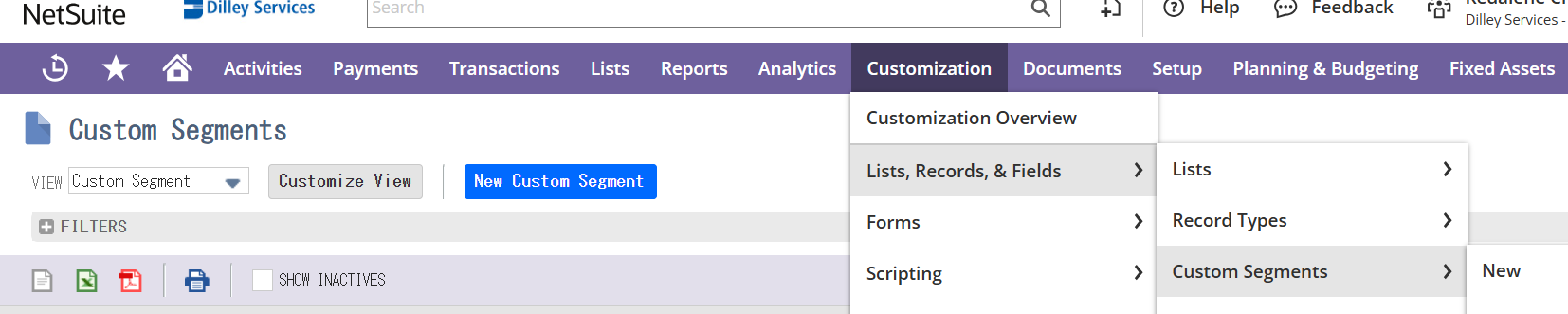 List of Custom Segment Values in Employee Master Data — NetSuite Community