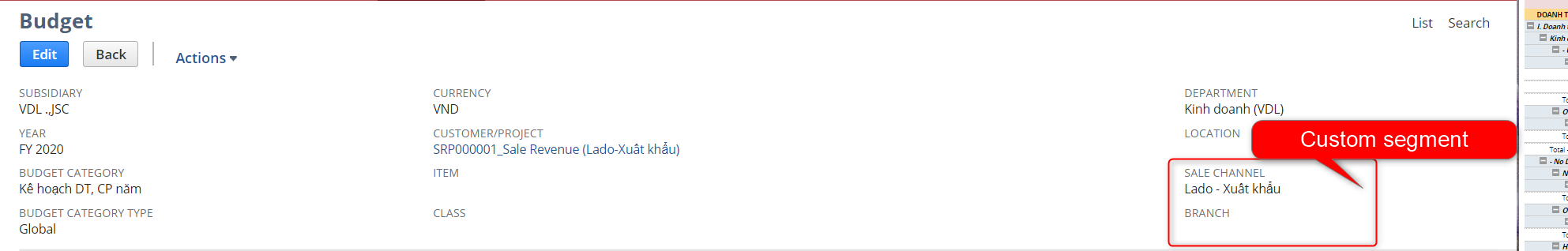 Budget vs Actual with Custom Segments — NetSuite Community