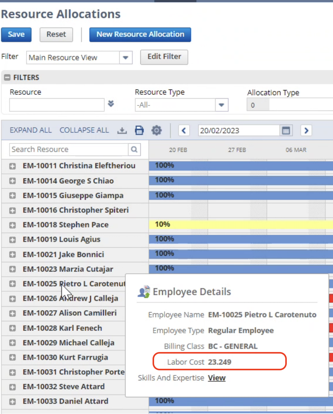 Resource Allocation Grid How To Hide Labor Field On Employee Detail — Netsuite Community