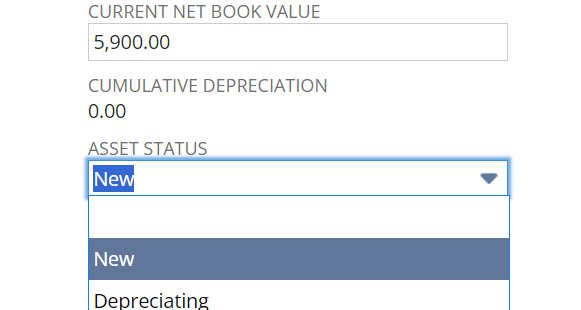 Asset Depreciation not generated for some Asset — NetSuite Community
