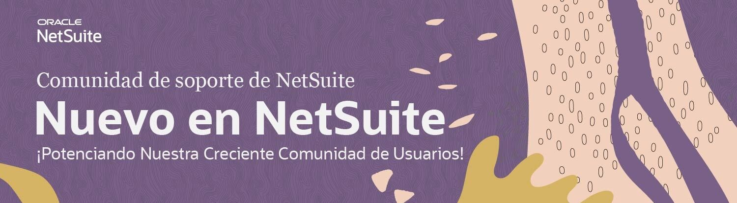 Nuevo en NetSuite | Cómo usar un script programado para automatizar la ...